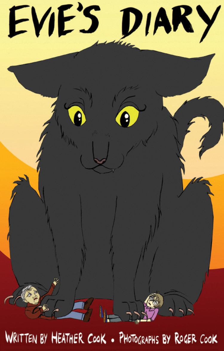 Evie's Diary | Troubador Publishing