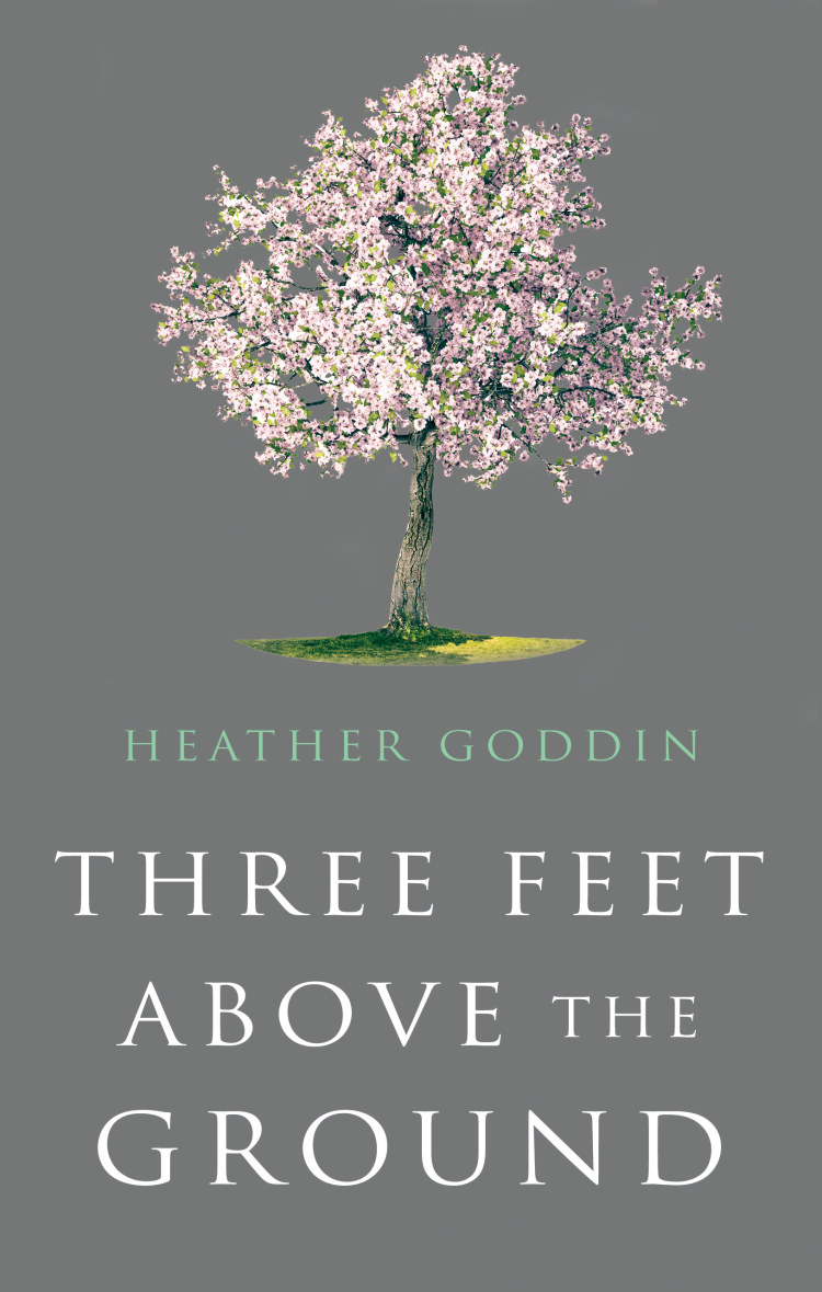 Three Feet Above The Ground | Troubador Publishing